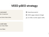 Veed Programmatic Seo Case Study