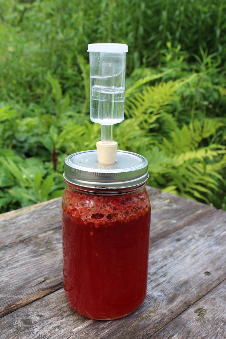 Raspberry Mead - Micro Batch Recipe — Practical Self Reliance