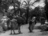 Morocco2 Pre Code Com