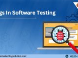 Exploring The Role Of Bugs In Software Testing Precise Testing