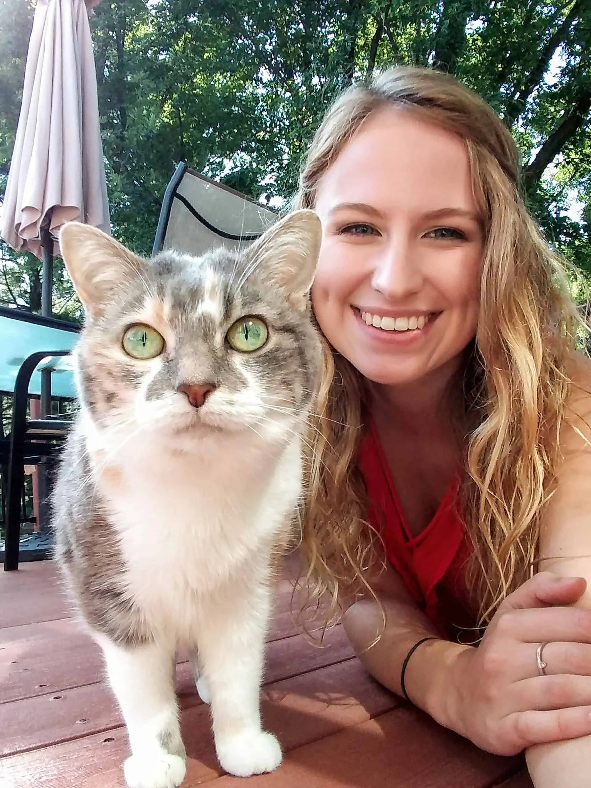 Our Team - Precision Veterinary