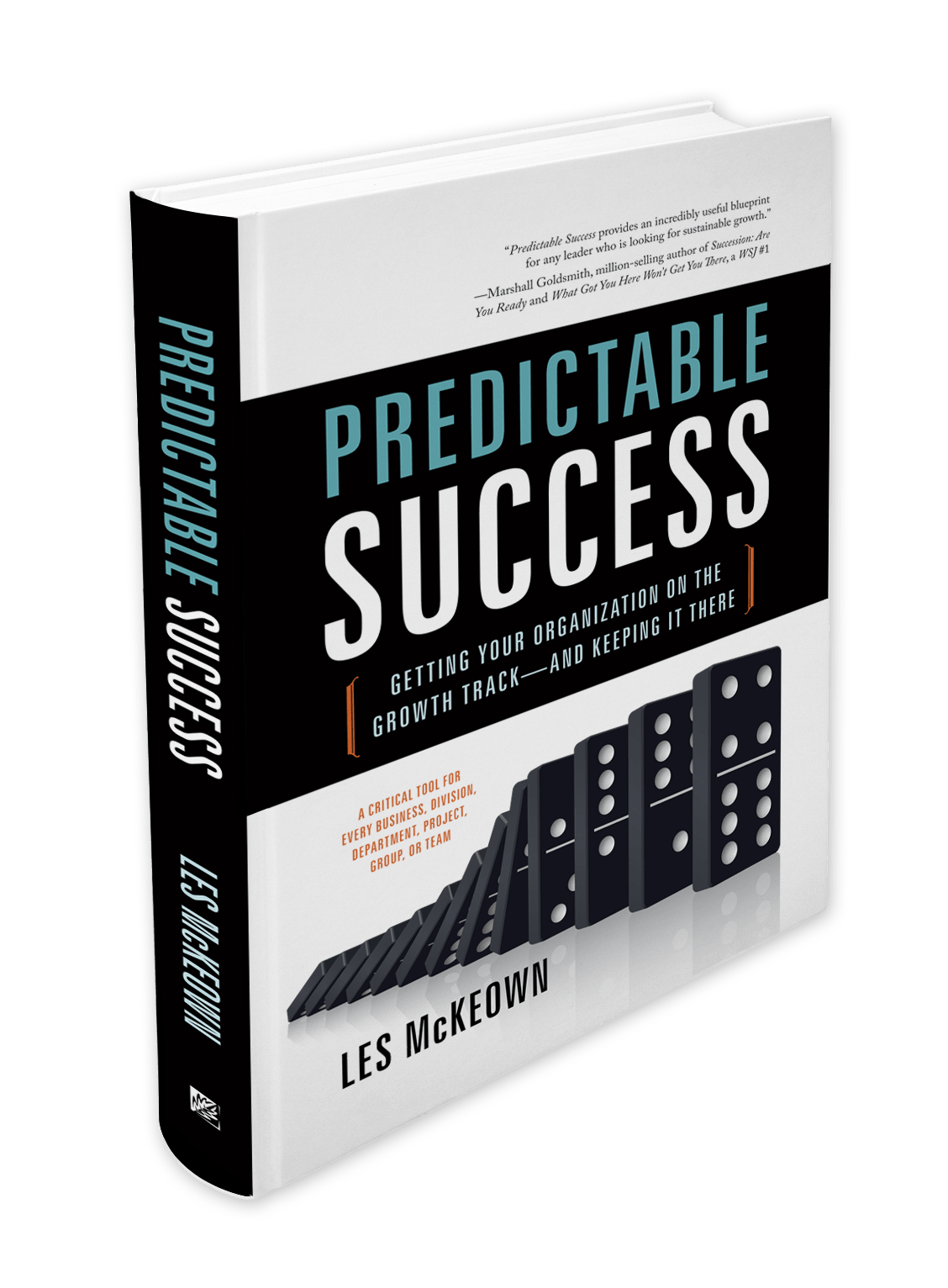 Newsletter: June, 2010 > Predictable Success