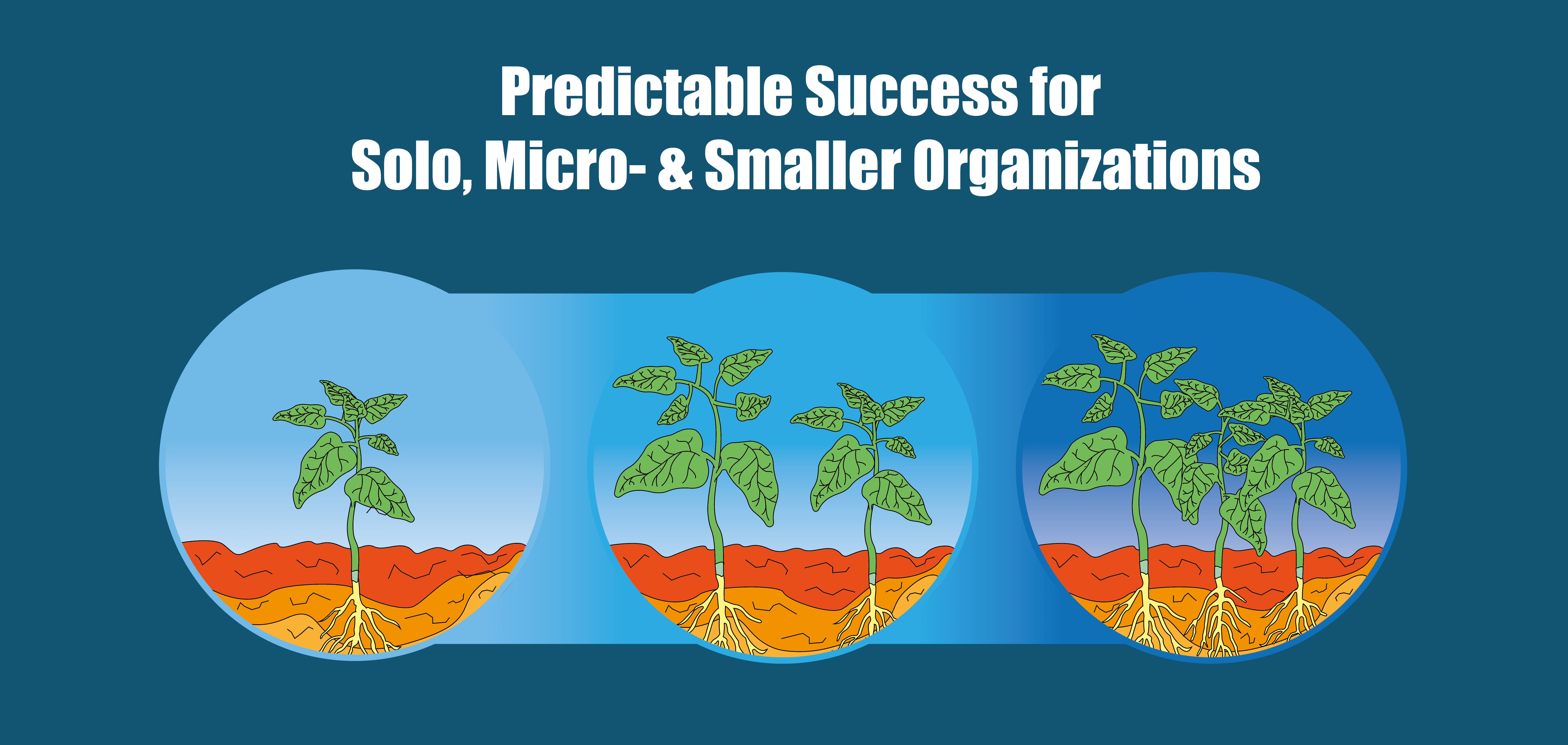 Predictable Success for Solo, Micro- & Smaller Organizations ...