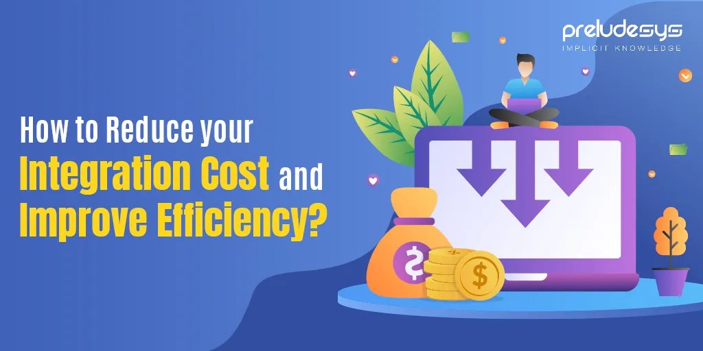 How to Reduce Your Integration Cost and Improve Efficiency? - PreludeSys