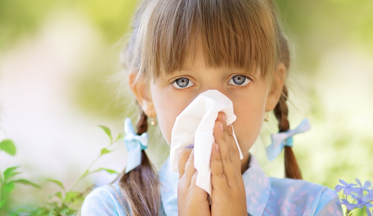 Sneezing Through the Summer: When a Cold Could Be Allergies - Premier ...