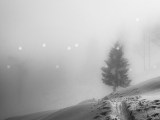Css3 Tricks Falling Snow Animation With Css Only Premiumcoding