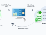 How Prerender Renders Javascript Websites