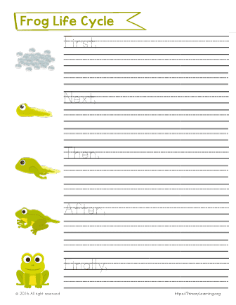 A life Cycle of a Frog Writing Prompt | PrimaryLearning.Org