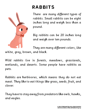 Rabbit Reading Passage | PrimaryLearning.Org