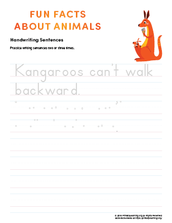 Sentence Writing: Kangaroo | PrimaryLearning.Org
