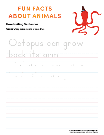 Sentence Writing: Octopus | PrimaryLearning.Org