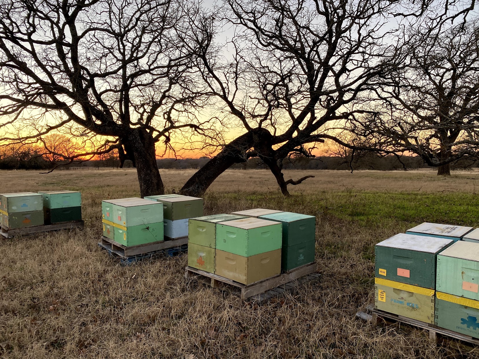 Land for Bees - prime bees.com