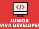 Junior Java Developer Prime Dash