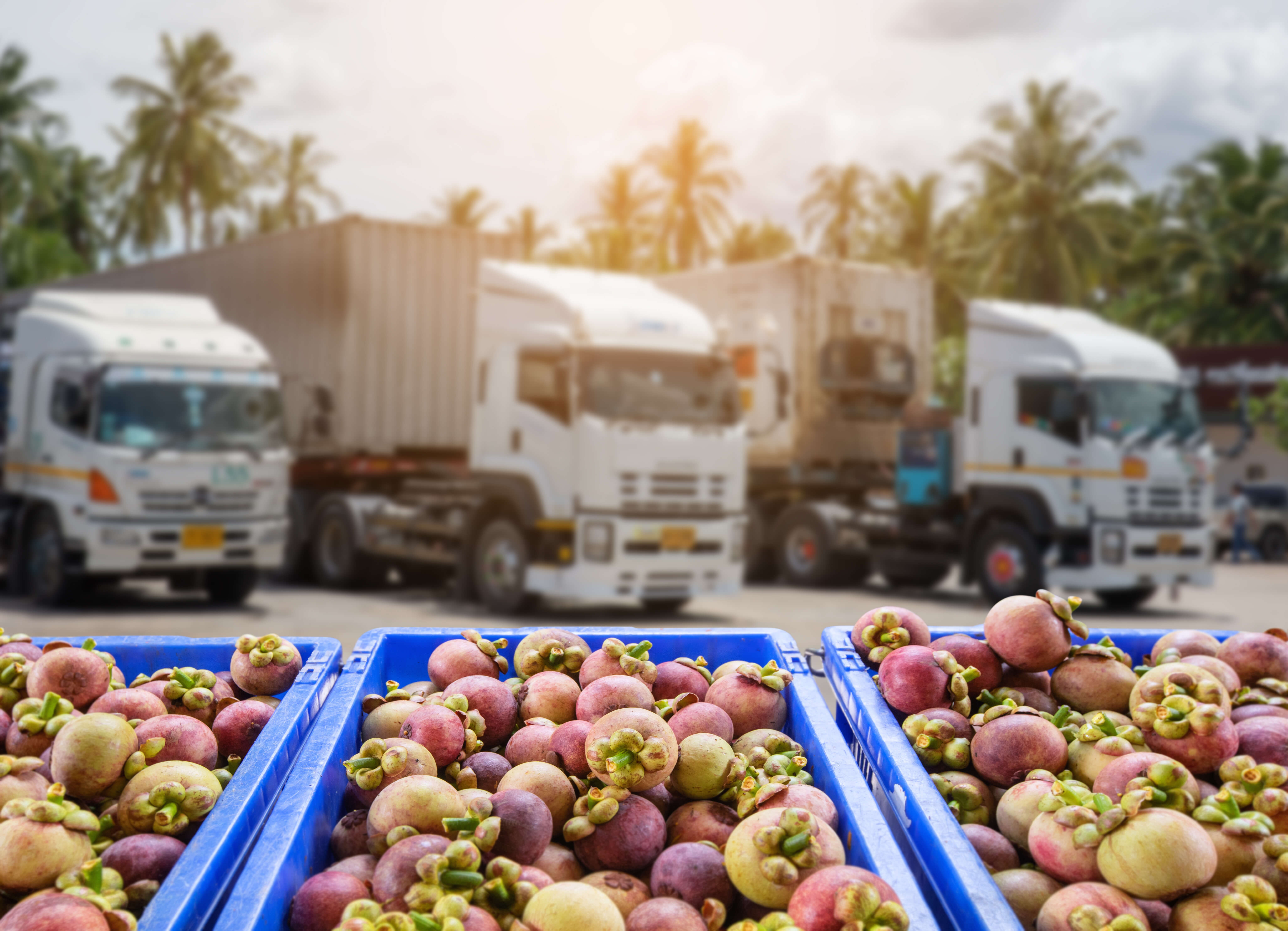 Manage Routes and Trips for Efficient Food Distribution - Prime By ...