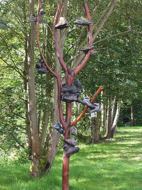 Hiking in the Frankenwald - Prime Passages