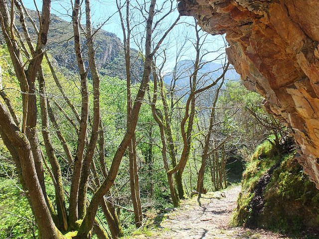 More Cow Bell - Prime Passages