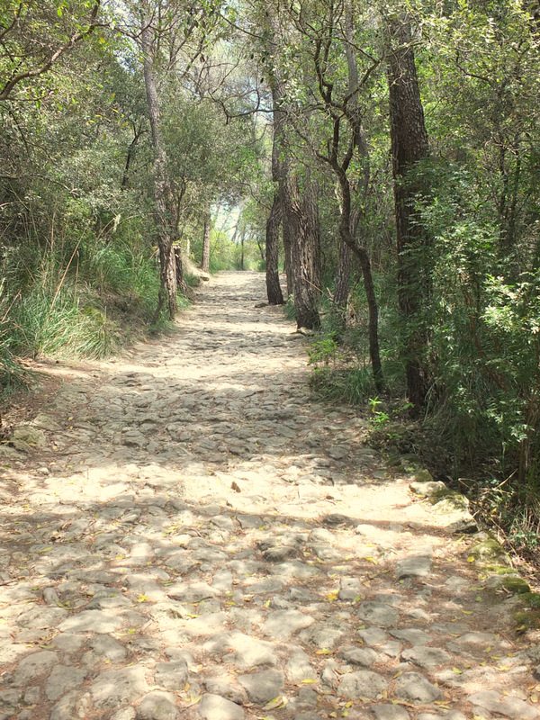 The Old Postman's Route - Prime Passages