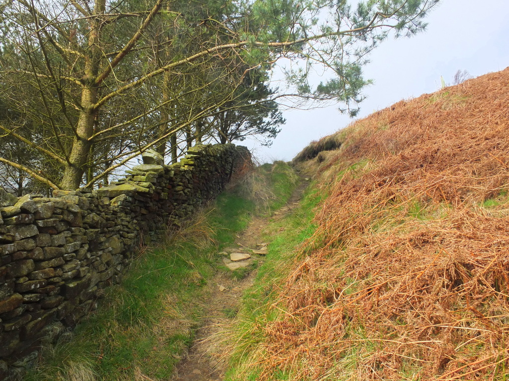Rails and Trails and Ales on the Backbone of England - Prime Passages