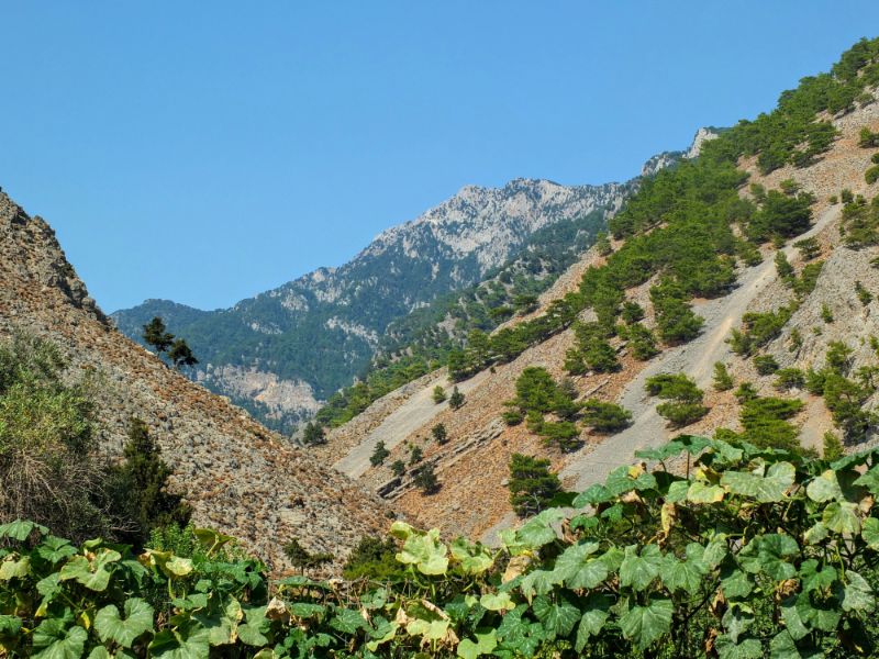 The Cretan Way - Prime Passages