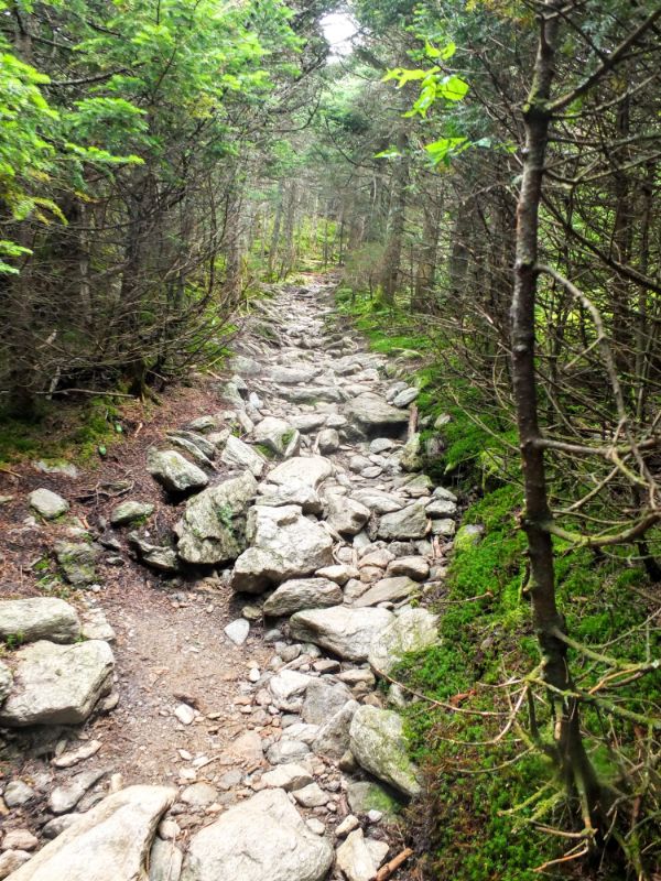 The Hills Are Alive ... in Vermont - Prime Passages