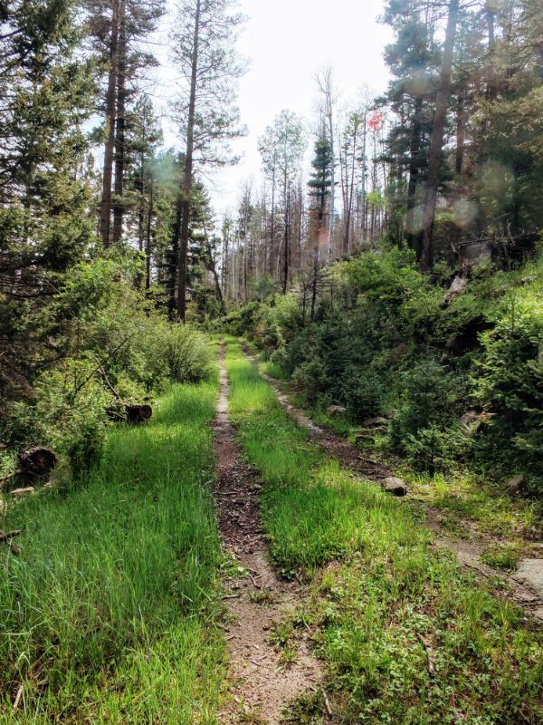 Bloom - Prime Passages