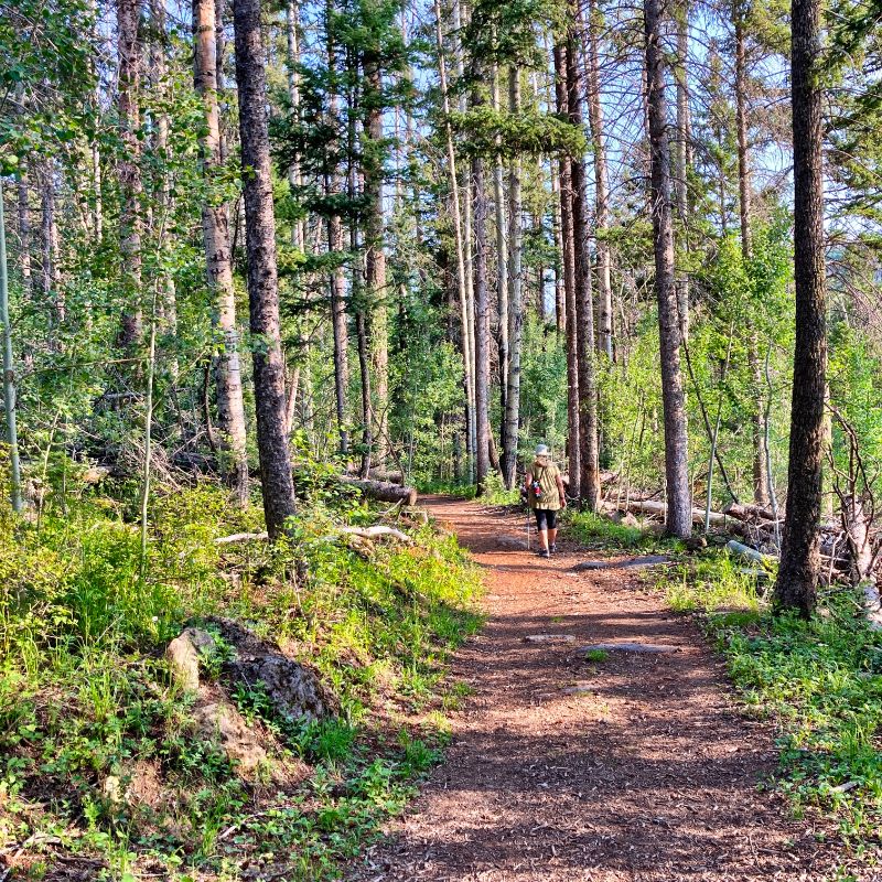 Bloom - Prime Passages