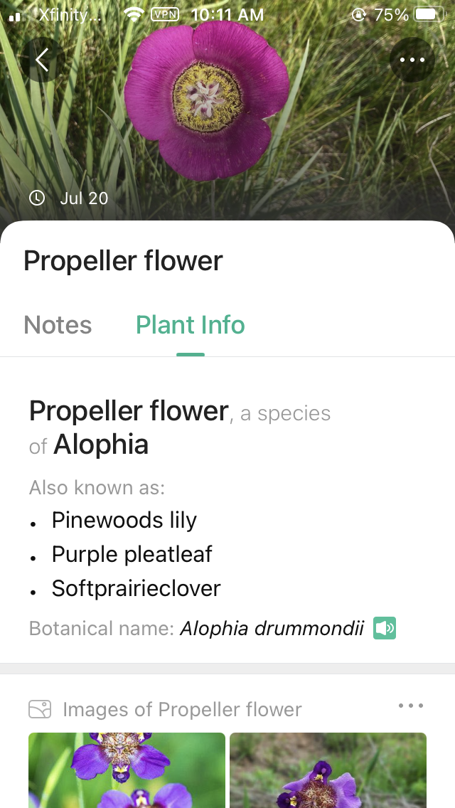 Bloom - Prime Passages