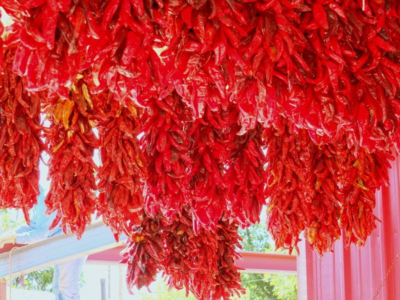 Hatch, New Mexico green chile
