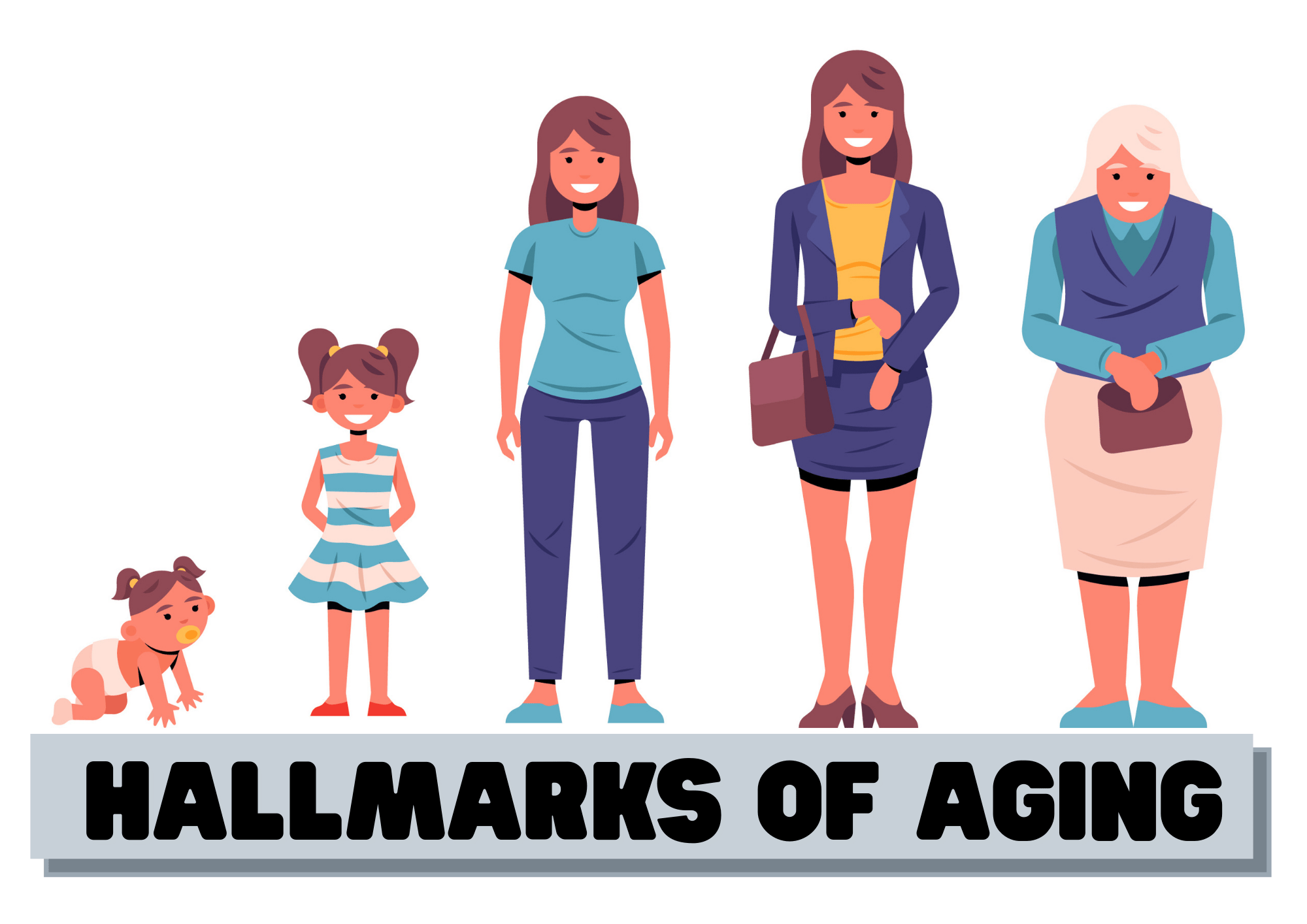 Hallmarks Of Aging. The 9 Different Signs & Their Connection to NAD+ ...