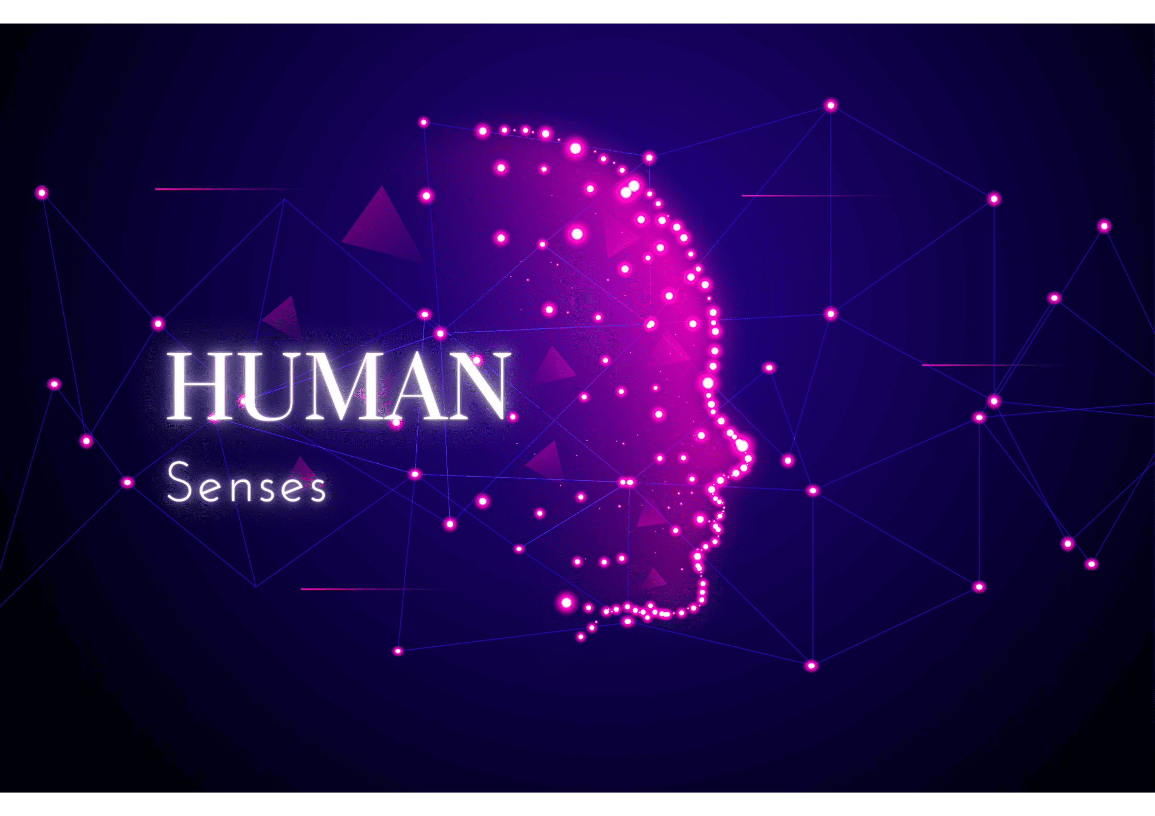 Debunking the Myth of 5 Human Senses. Unlocking Their Hidden Potential ...