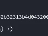 W1seguy Tryhackme Write Up Printn