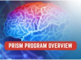 Prism Overview Discover The Prism Brain Mapping Tool In India
