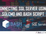 Connecting Sql Server Using Sqlcmd And Bash Script Prisoft Technology