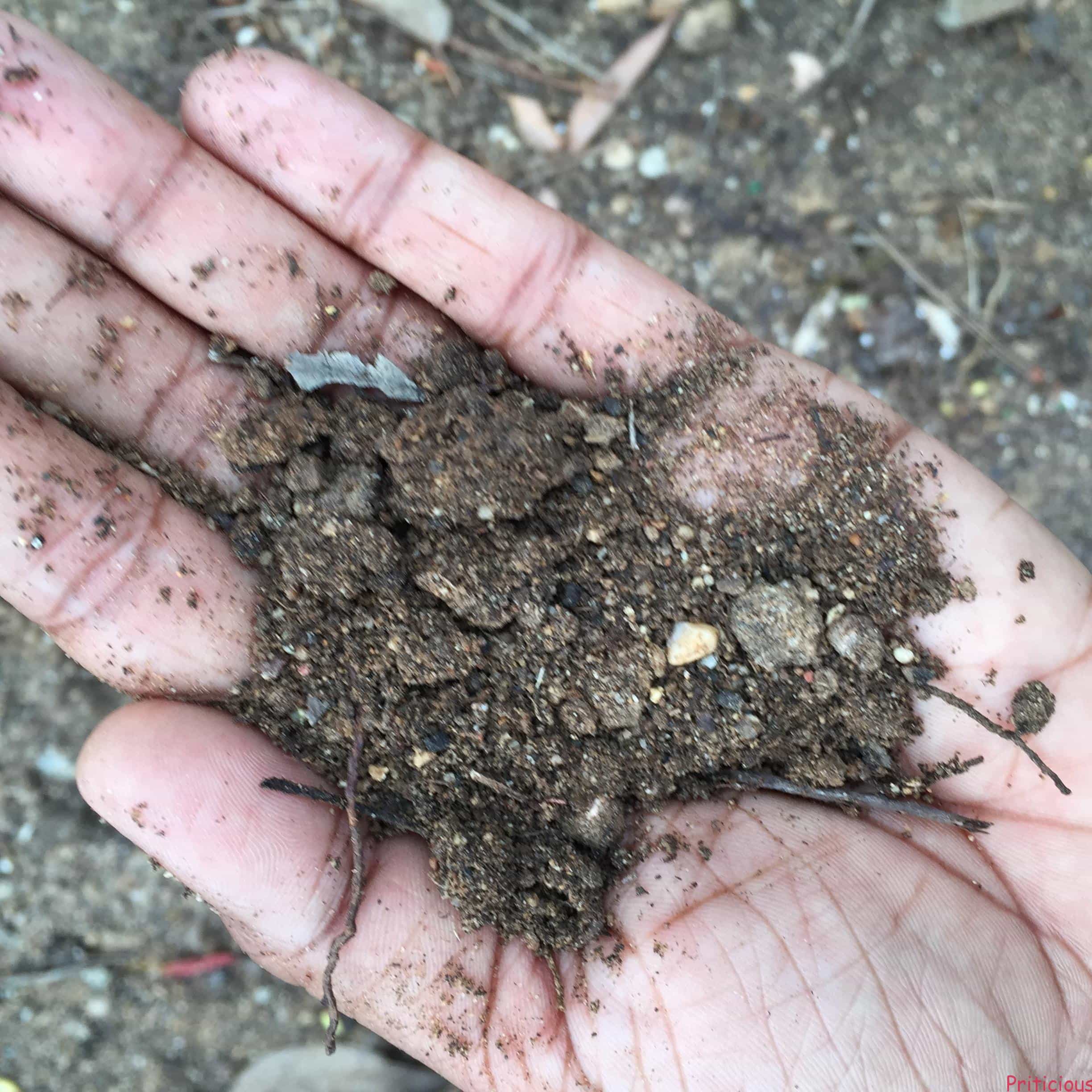 Understanding Garden Soil