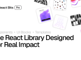 React Bits Pro React Ui For Memorable Products