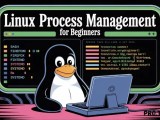 Chapter 5 How To Control And Monitor Processes In Linux