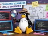 15 Essential Pwd Commands Every Linux Beginner Should Know