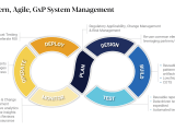 Application Lifecycle Management Processx