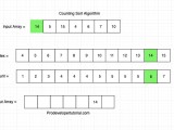 Sorting Algorithm 11 Counting Sort Prodevelopertutorial