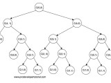 Dynamic Programming Binomial Coefficiet Problem Prodevelopertutorial