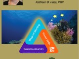 Managing Complex Projects Prodevia Learning