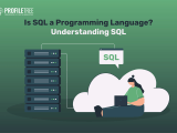 Is Sql A Programming Language Understanding Sql Profiletree