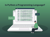 Is Python A Programming Language Profiletree