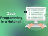 Java Programming In A Nutshell Profiletree