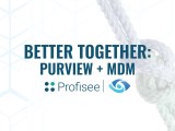 Profisee Microsoft Purview Integration Enterprise Master Data