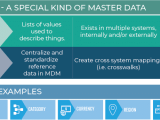 Multi Domain Mdm Profisee