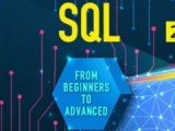 Python Programming And Sql Pdf Connect 4 Programming