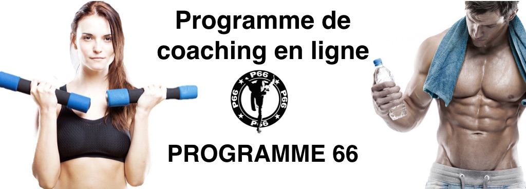 Programme de coaching en ligne