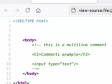 How To Add Comments In Html Programmerabroad