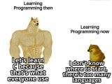 Should I Learn Javascript Or Python Programmerhumor Io